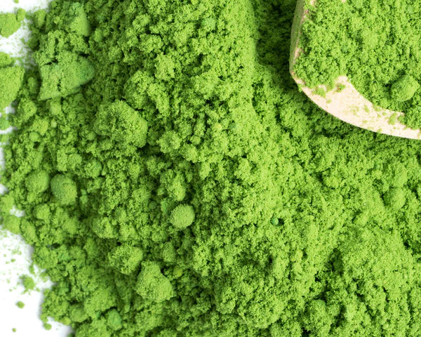 Green Tea Polyphenols and Sun Care: Why Powerful AOX GTP is Important ...