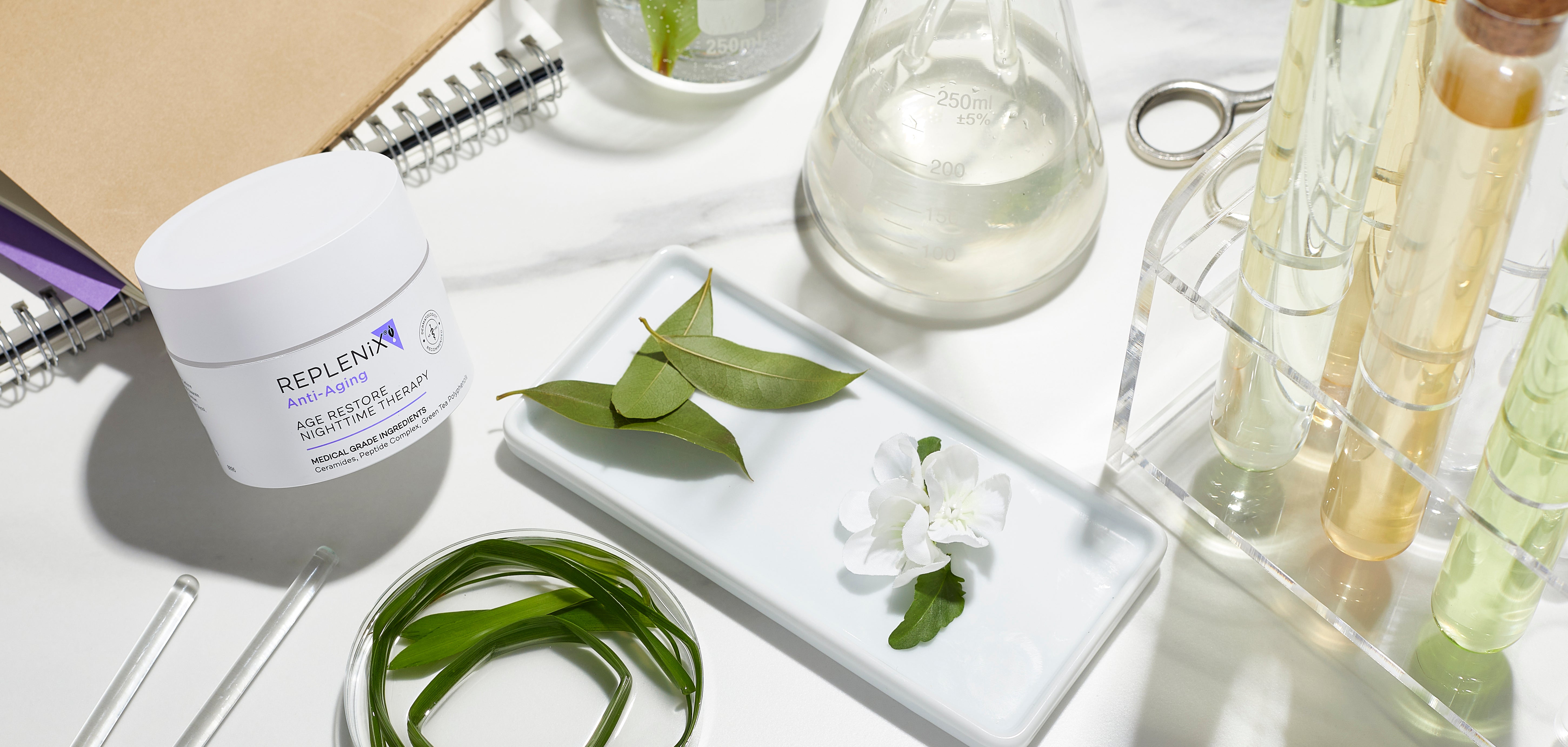 Nighttime Collection – Replenix